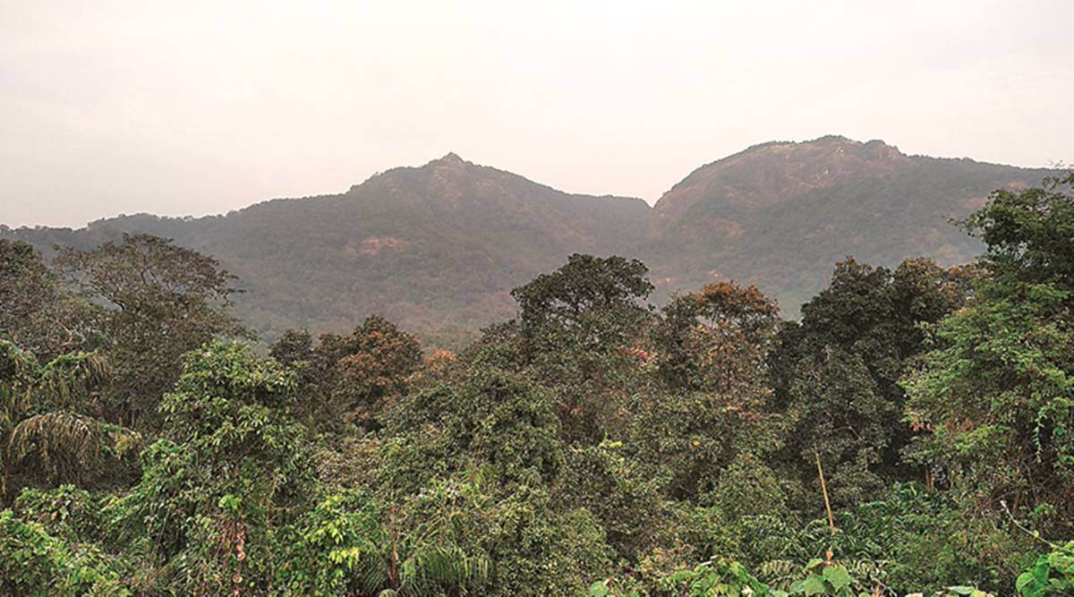 Goa govt to develop eco-tourism in forest areas | Goa News - The Indian ...