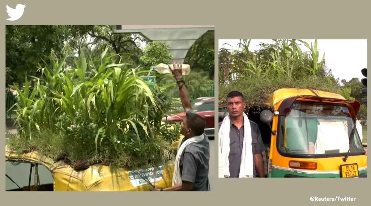 Watch: Delhi auto driver grows kitchen garden on vehicle’s roof ...