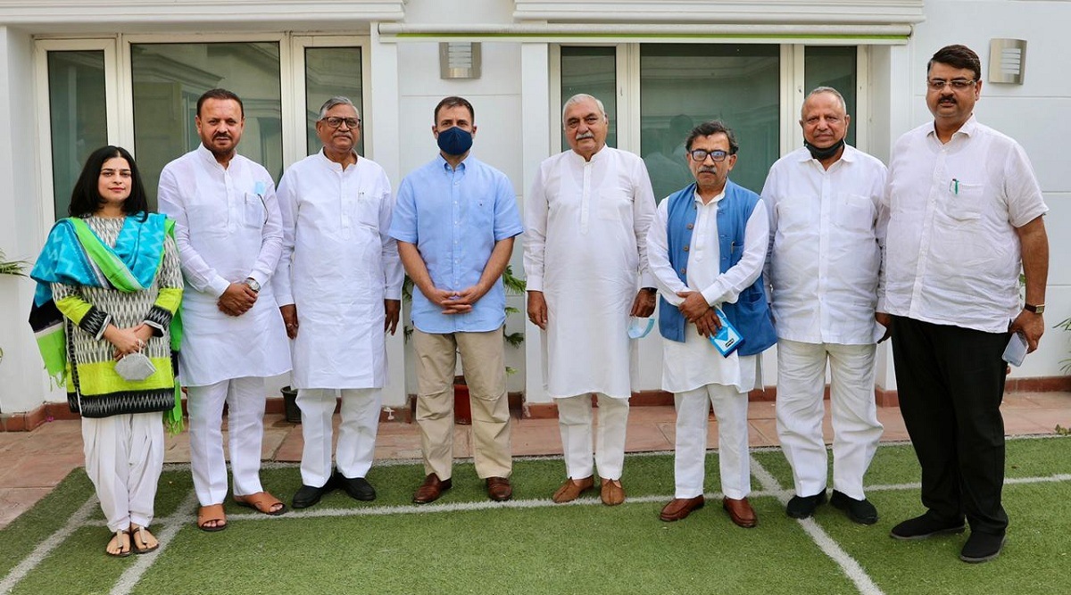 New HPCC team, Hooda meet Rahul in Delhi | Chandigarh News - The Indian ...