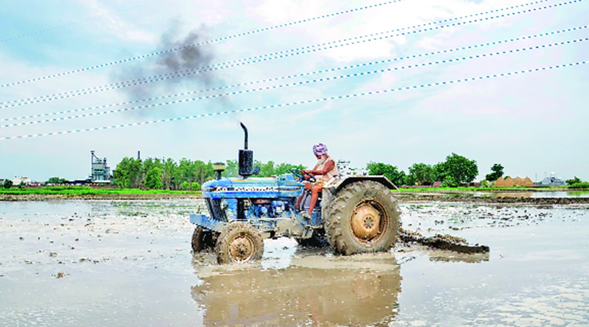 No end to power crisis, Punjab govt notifies district-wise paddy ...