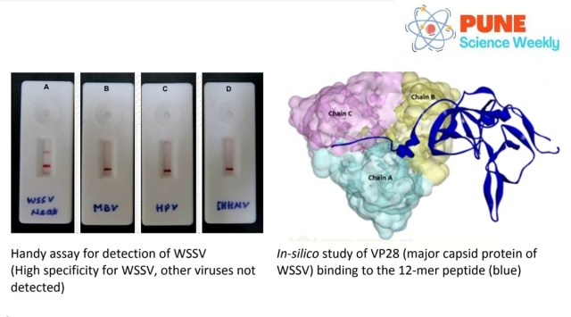 Pune Science Weekly: Newly patented diagnostic tool to detect White ...