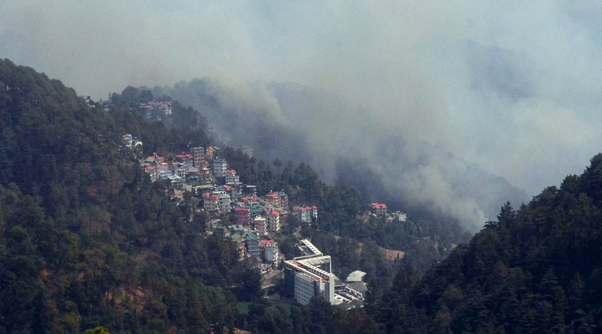 Forest Fire: News, Photos, Latest News Headlines about Forest Fire ...