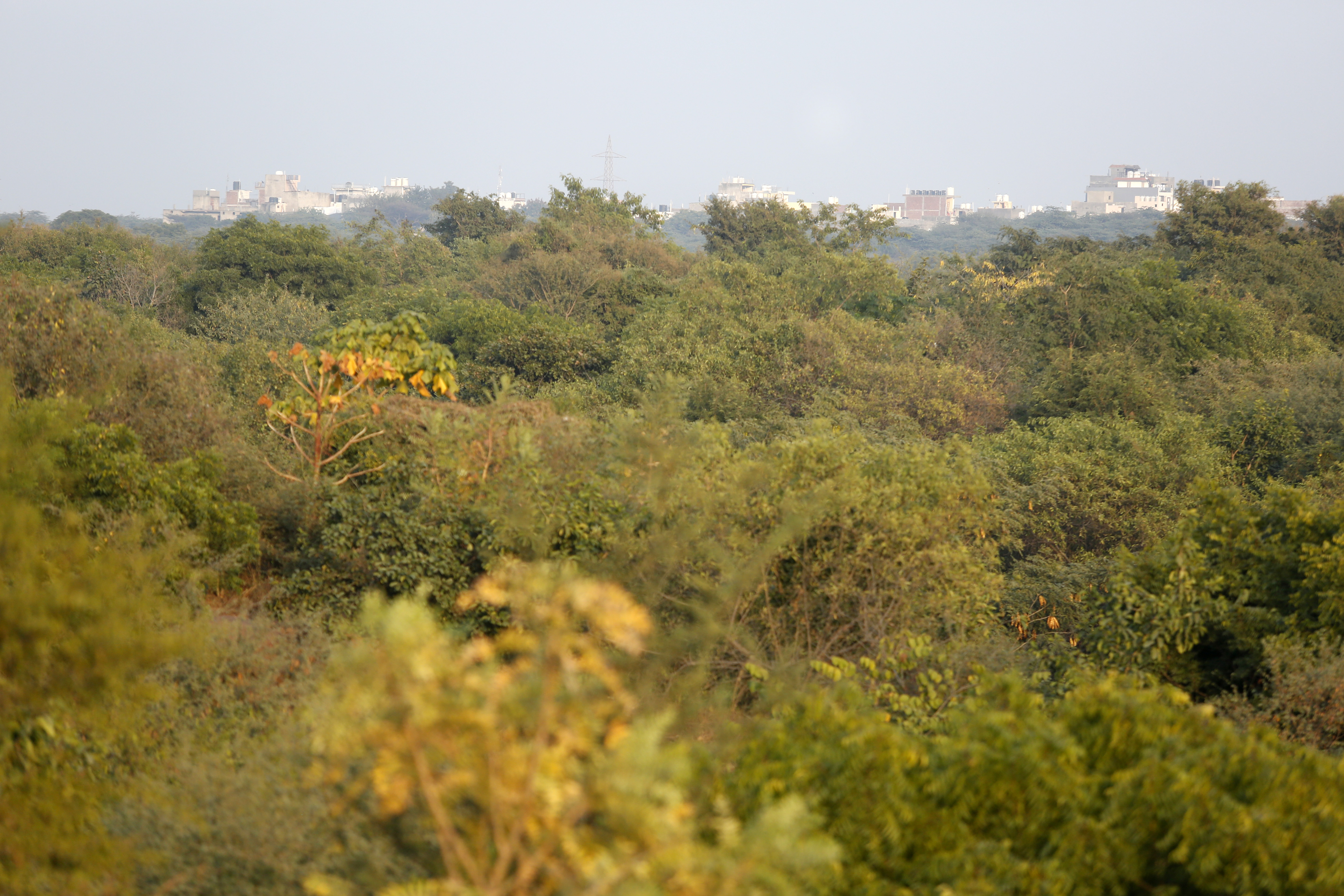 How a citizen’s initiative turned a mining site in Gurgaon into an ...