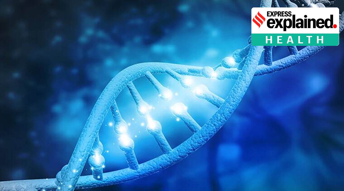 Extra chromosome in 1 in 500 men, disease risk higher: study ...