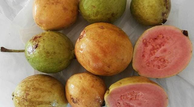 Quench your thirst with delicious guava slush (recipe inside) | Food ...