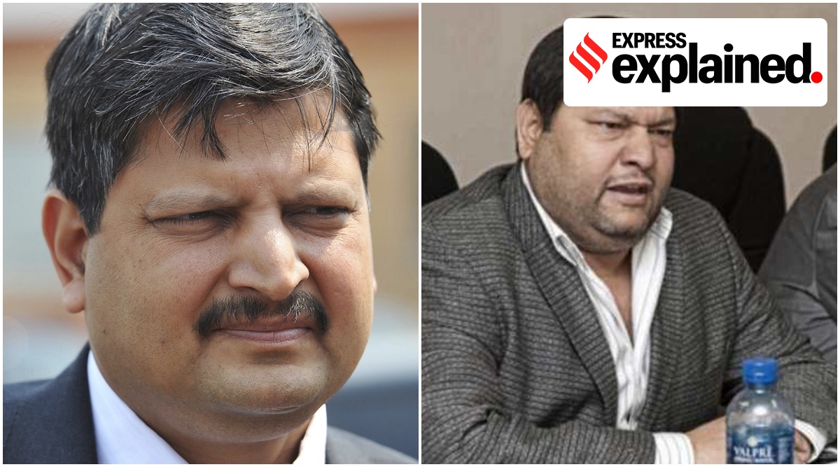 Who are the Gupta brothers?