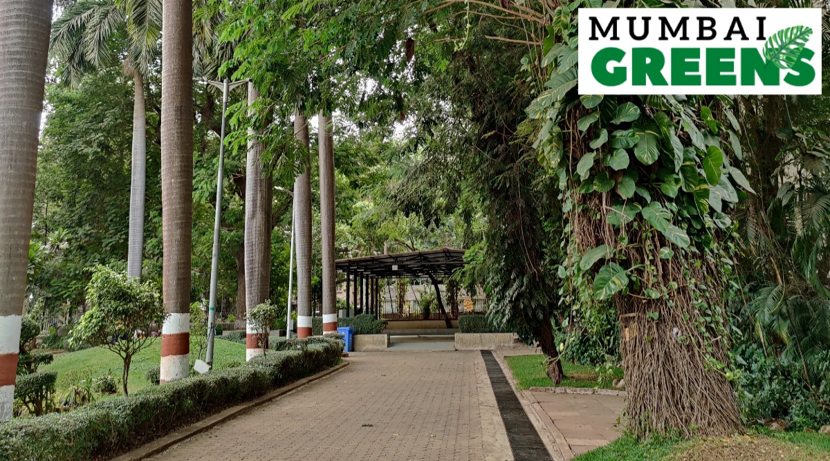 Mumbai Greens: Raosaheb Patwardhan Park is an oasis in the busy Bandra ...