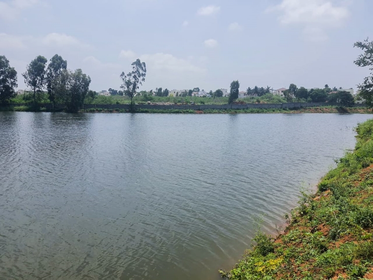 Lakes of Bengaluru: This Chola dynasty lake was recently revived by ...