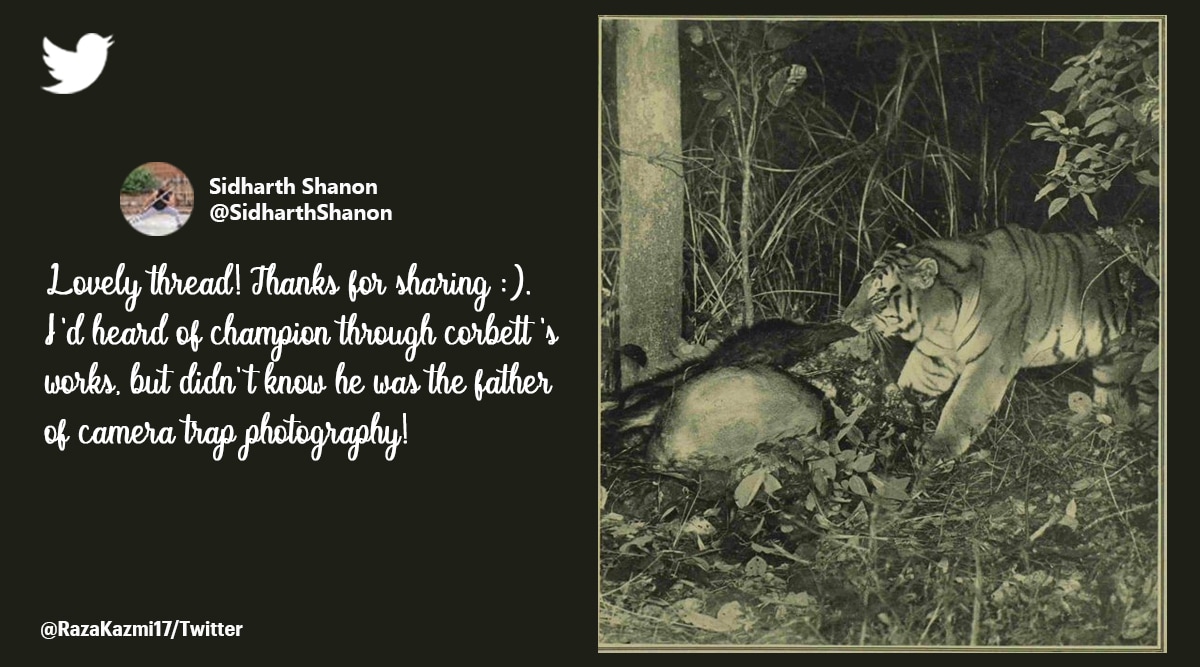 Did you know who captured the first photograph of a tiger in the wild ...