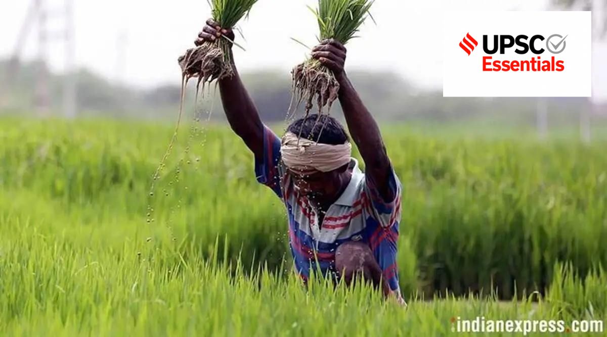 UPSC Essentials: One word a day — Minimum Support Price (MSP) | UPSC ...