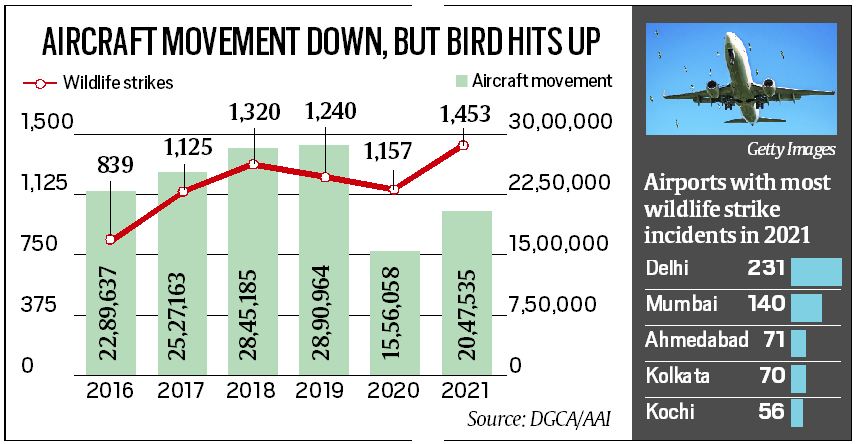 Explained: What are bird strikes and how can they affect flights ...
