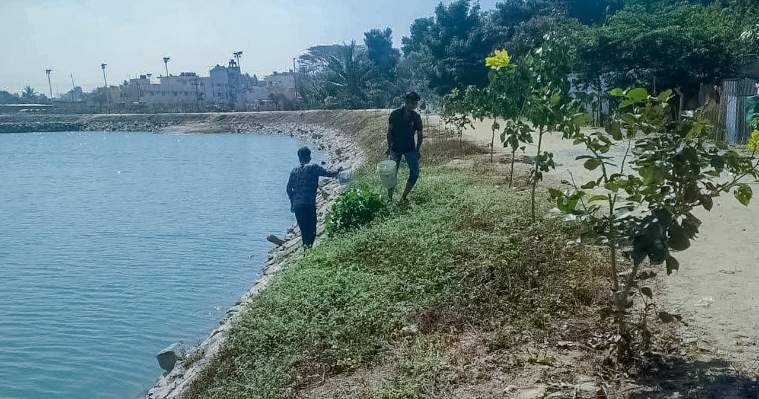 Lakes of Bengaluru: Four years on, KR Puram’s Bhattarahalli lake ...