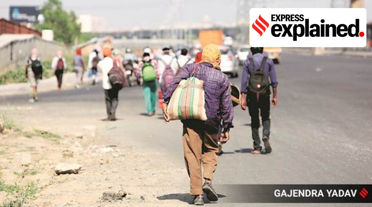 Explained: ‘Temporary visitors’ and ‘migrants’ — how they moved during ...