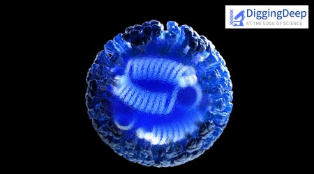 Science News: Latest Science News, Today’s Science News from India and ...