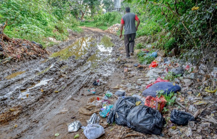 Lakes of Bengaluru: Once a symbol of pristine environment ...