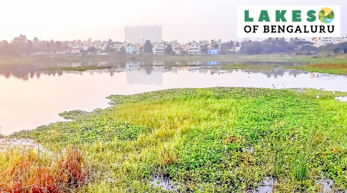 Lakes of Bengaluru | From swimming spot to ‘urinal spot’: Bengaluru’s ...