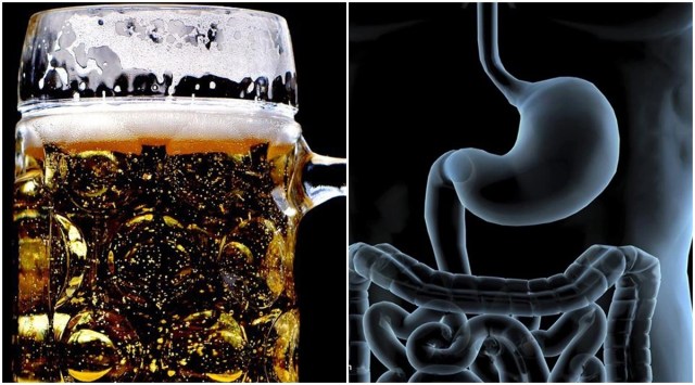 Is beer good for men’s gut health and can it prevent diabetes? Experts ...