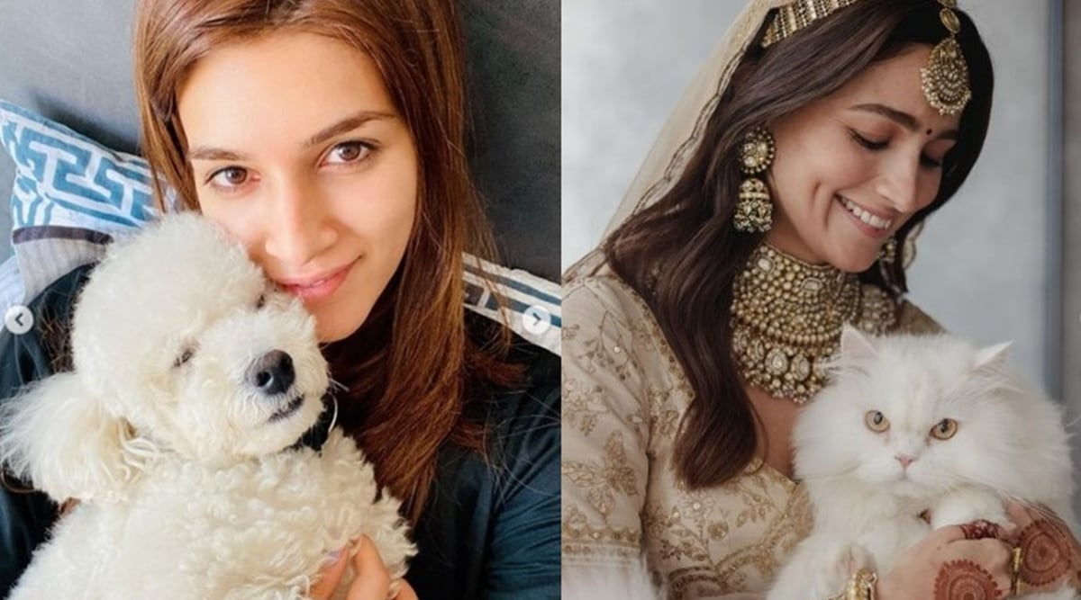 Cuteness alert: Bollywood celebs and their paw-some buddies | Lifestyle ...