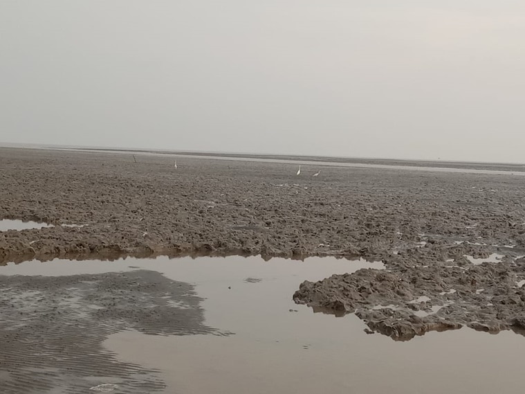 Surat’s Dumas beach is considered haunted, but that is not what’s ...