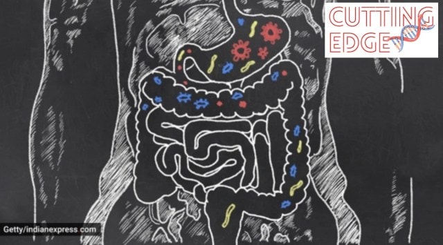 Cutting Edge: Poop therapy can save your gut, and your life | Health ...
