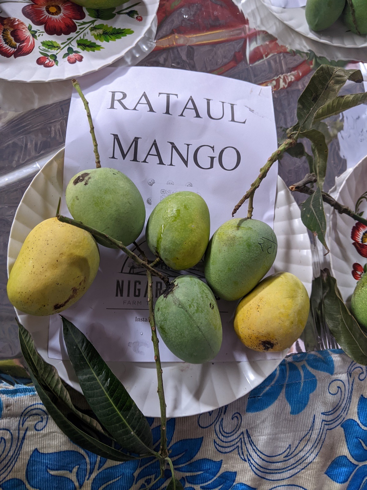 From Delhi to Rataul, for the love of mangoes | Food-wine News - The ...