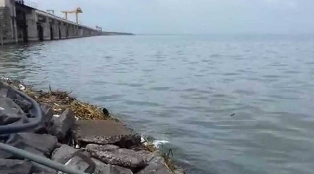 Maharashtra: Water storage level of Jayakwadi dam crosses 90 per cent ...