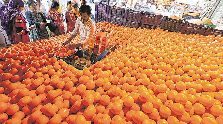 Himachal govt to provide 6% subsidy on package material to fruit ...