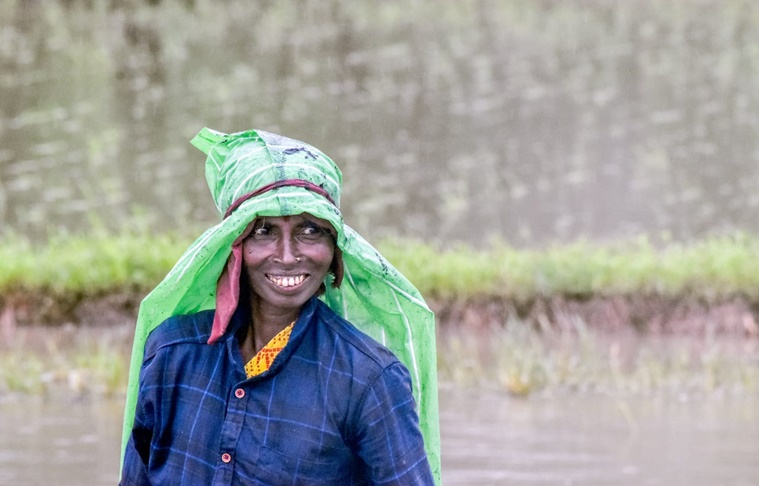 In pictures: Farmers in Udupi return to work after heavy rains inundate ...