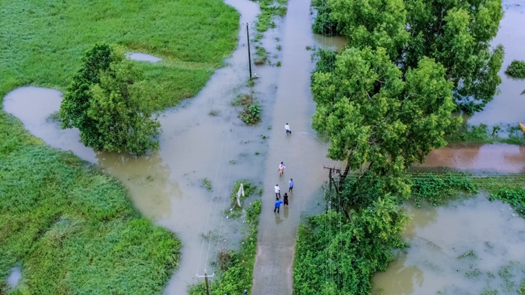 In pictures: Farmers in Udupi return to work after heavy rains inundate ...