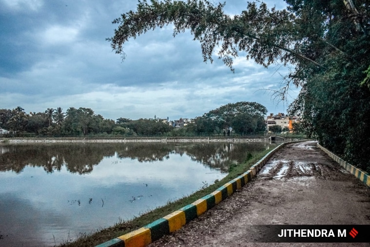 Lakes of Bengaluru: Sewage still enters Gubbalala lake despite ...