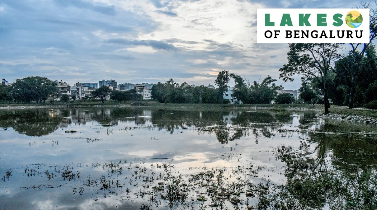 Lakes of Bengaluru: Sewage still enters Gubbalala lake despite ...