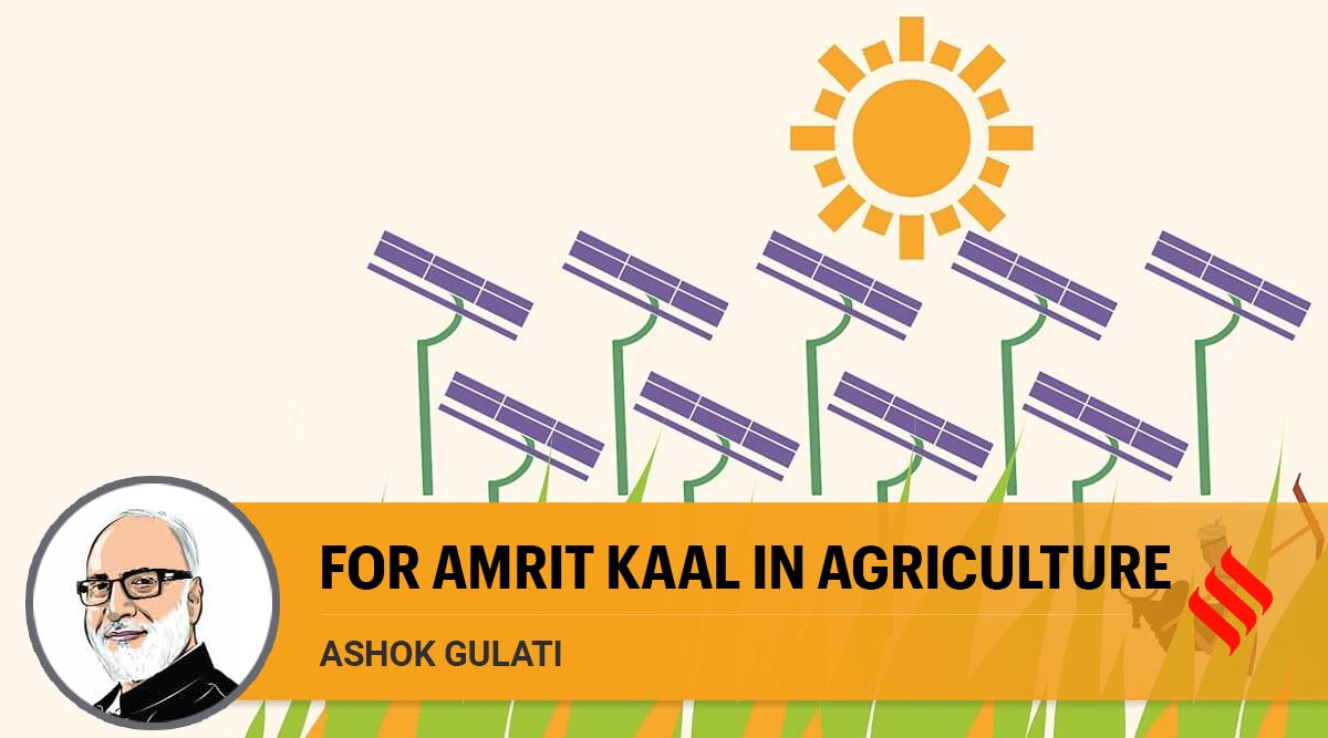 Ashok Gulati writes: Solar energy — For Amrit Kaal in agriculture