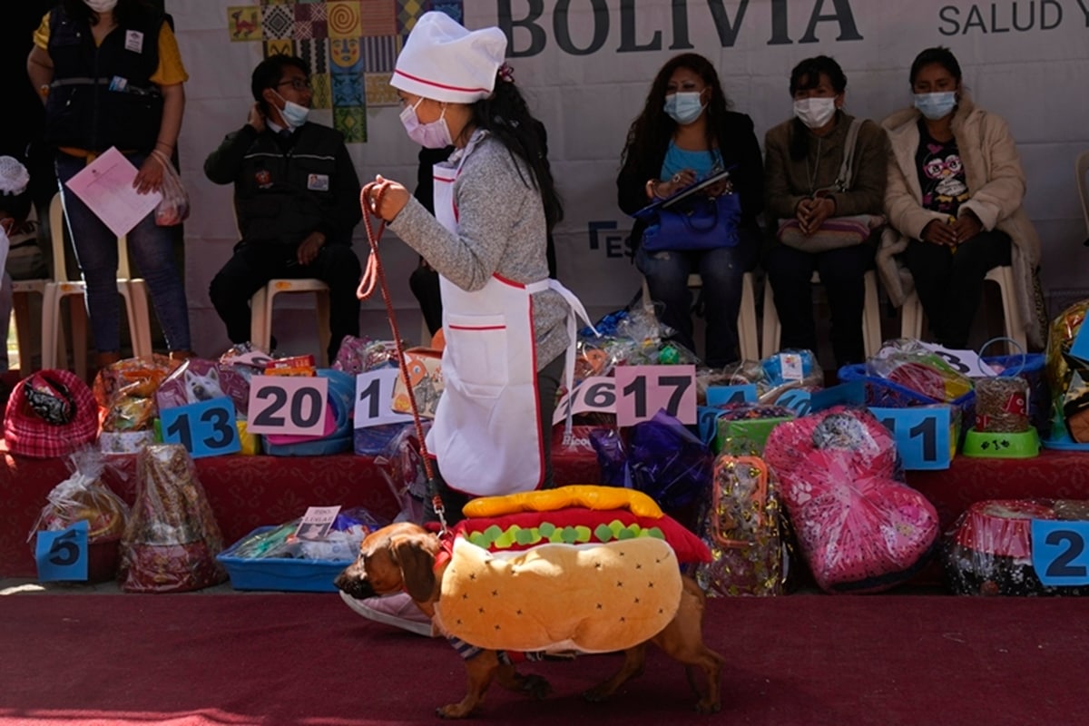 In photos: Bolivia celebrates feast day of Saint Roch, the patron saint ...