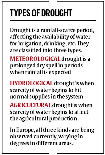 ‘The worst in 500 years’: Europe’s great drought, explained | Explained News,The Indian Express