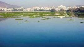 Latest News on Pashan Lake: Get Pashan Lake News Updates along with ...