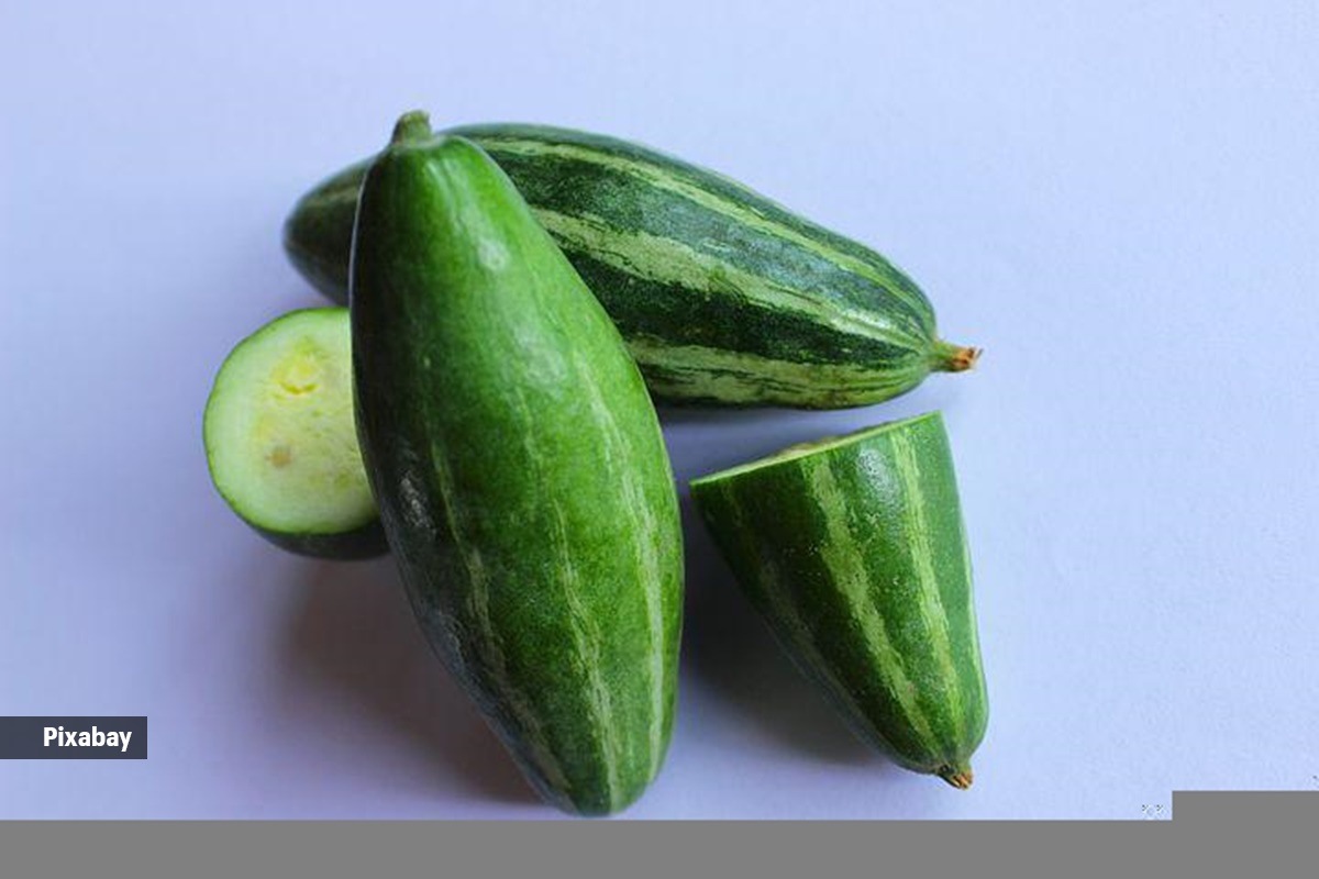 Here’s why parwal will be an ‘incredible addition’ to your diet ...