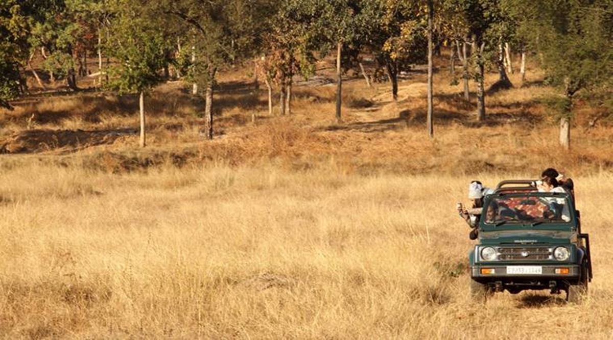 Night safari park, zoo to be set up in Kukrail forest area | Lucknow ...