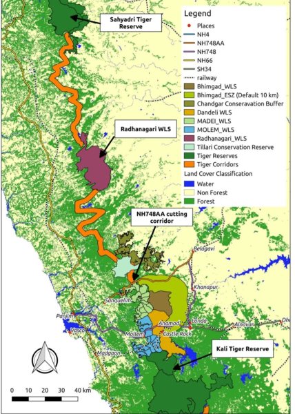 Tiger conservation body directs NHAI to seek wildlife clearance for ...