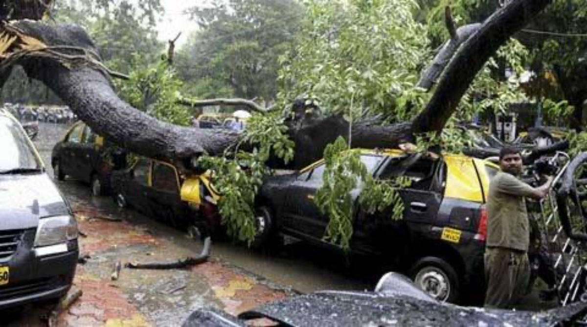 Tree falls on moving bike on Pune-Nashik Road, two killed | Pune news