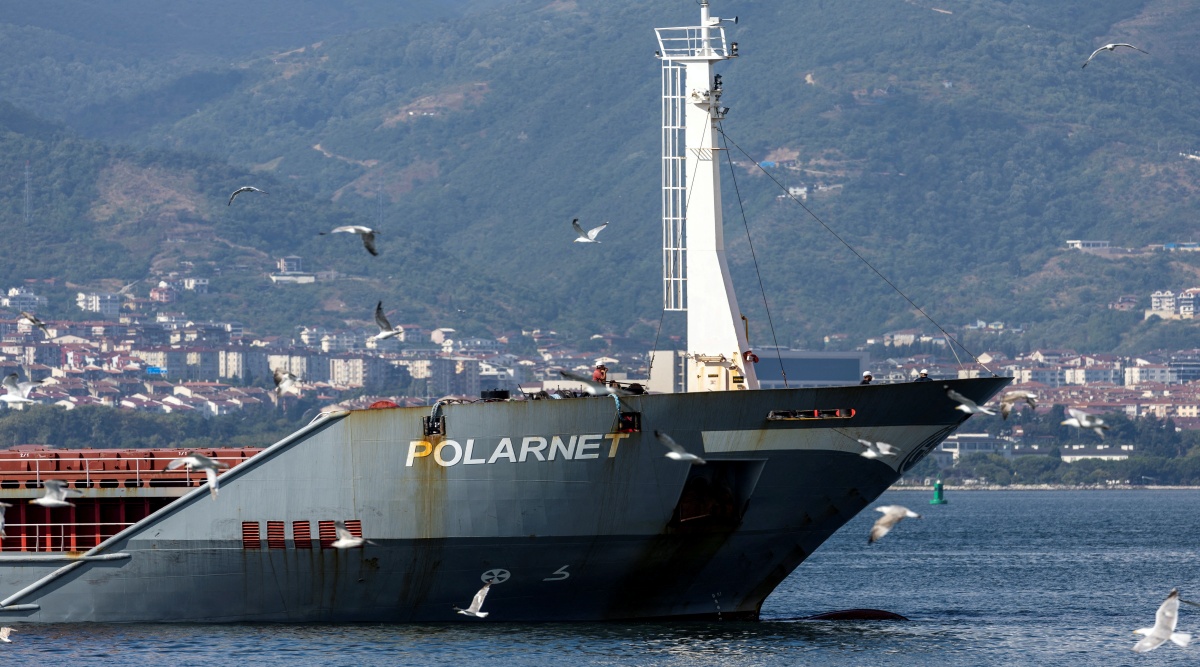 Turkey says Greek coast guard fires on cargo ship in Aegean | World ...