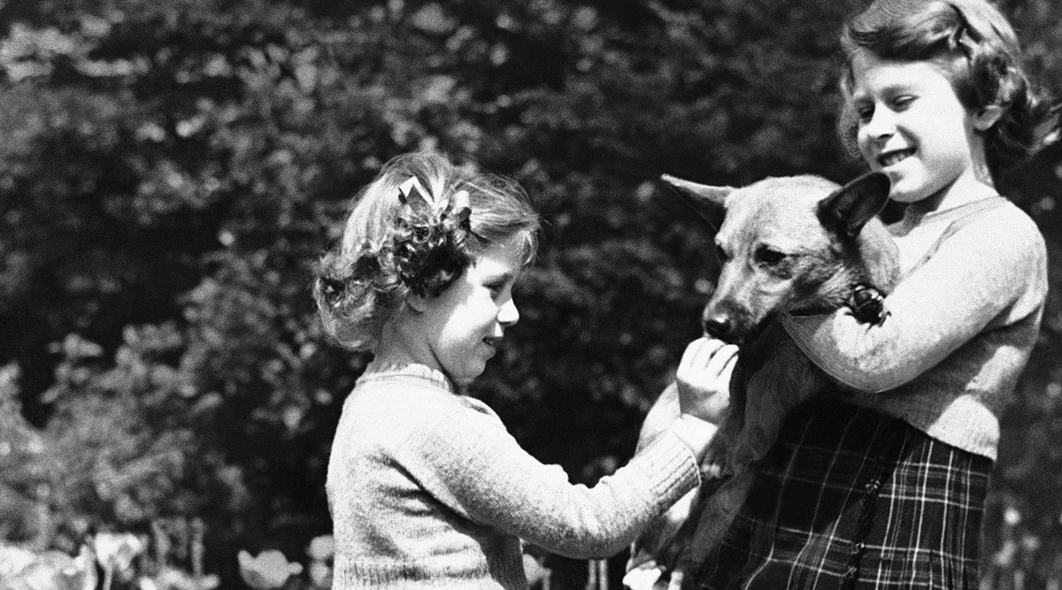 What will happen to Queen Elizabeth II’s dogs now? | Life-style News ...