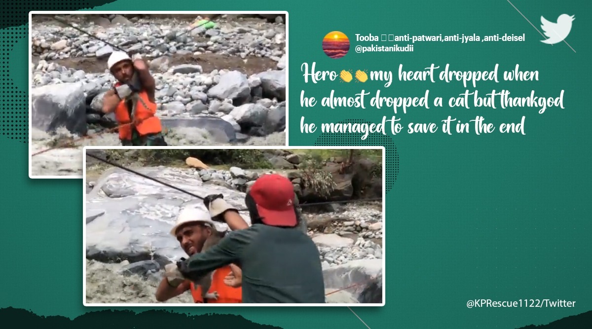 ‘Unsung heroes’: Cat rescued from raging floodwaters in Pakistan’s ...