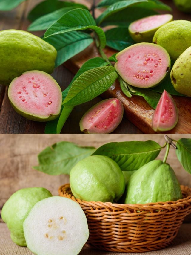 White or pink guava: Which is healthier? | The Indian Express