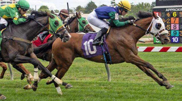Horse bred by Queen Elizabeth wins race in Baltimore | Sports News ...