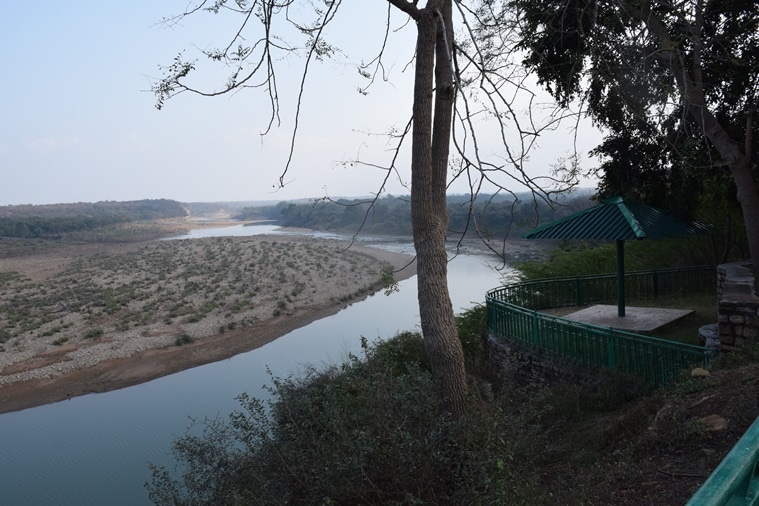 ‘Seeing the cheetah in Kuno National Park is a dream come true’: MK ...