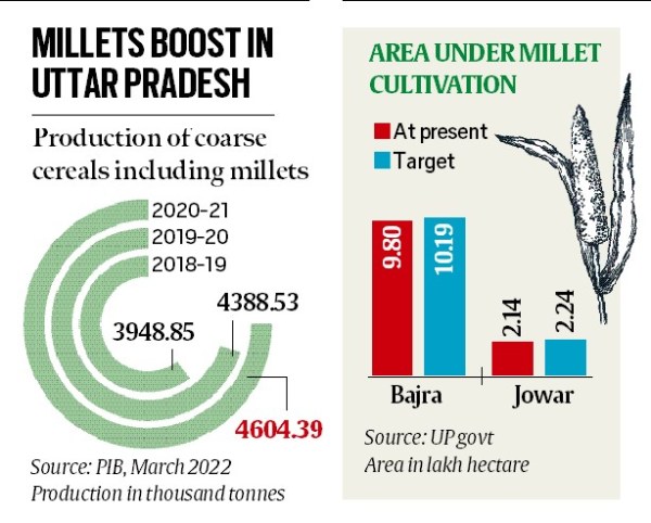 Govt plans to boost millet production with free seeds, cultivation in ...