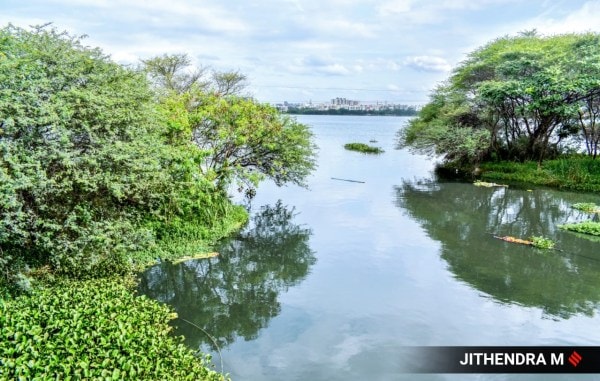 Lakes of Bengaluru: Pollution, encroachments sounding the death knell ...