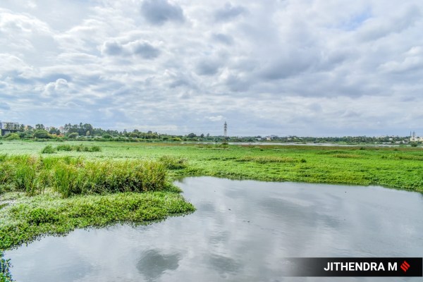 Lakes of Bengaluru: Pollution, encroachments sounding the death knell ...