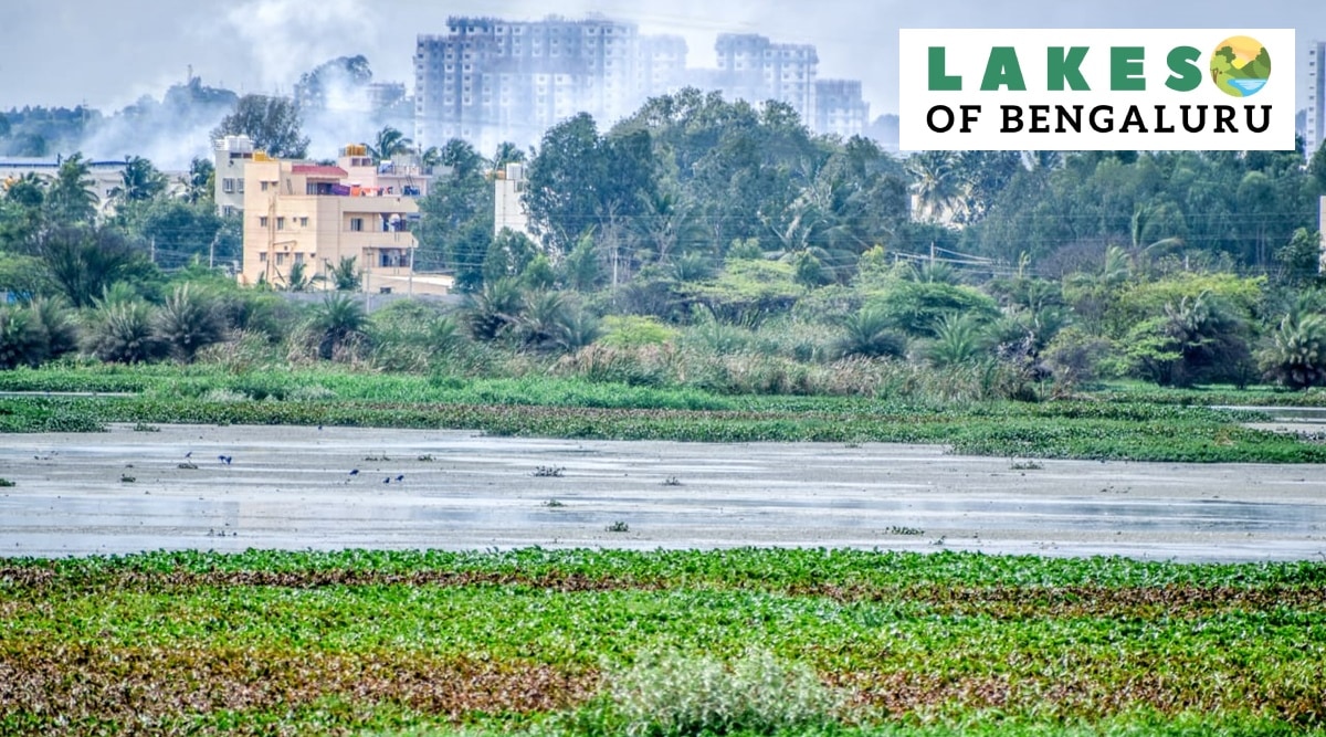 Lakes of Bengaluru: Pollution, encroachments sounding the death knell ...