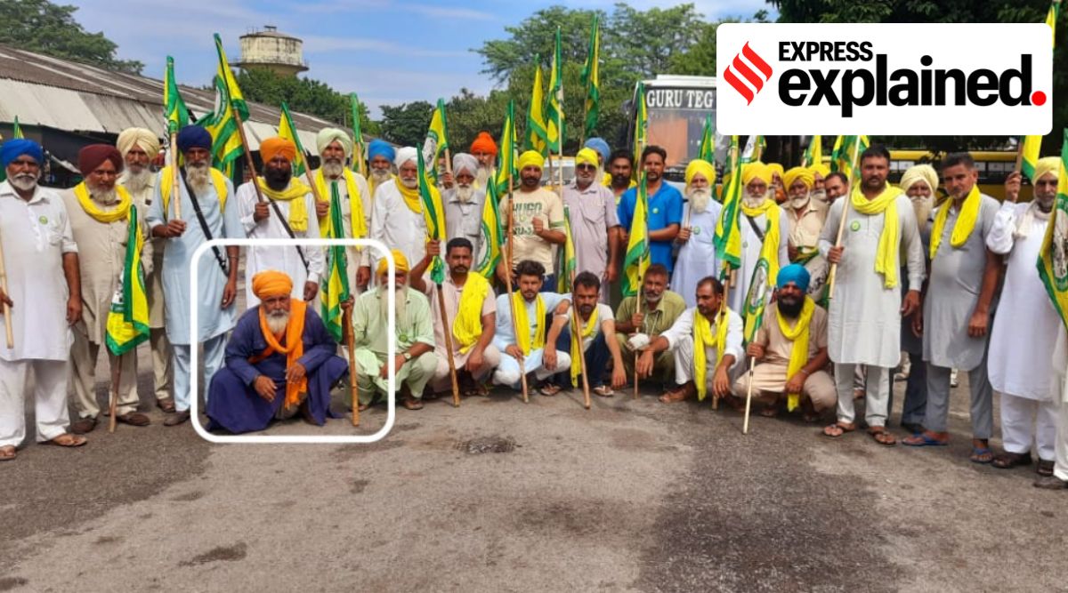 What is kurki, and why is it a big issue in Punjab? | Explained News ...